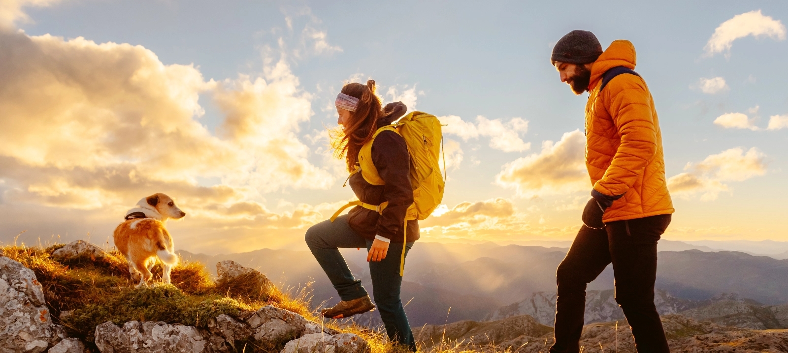 Anketa za korisnike - Gams HR